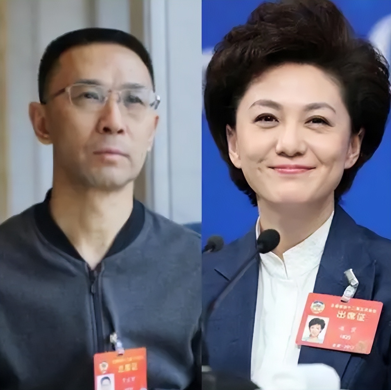 CCTV host Haixia: Married to a professor 11 years older, married for 22 ...