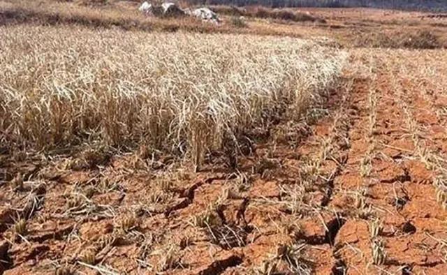 How hypocritical is Huan Xuan, the son of the famous Northern ...