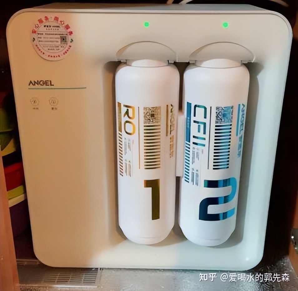 Angel Water Purifier Buying Guide - iNEWS