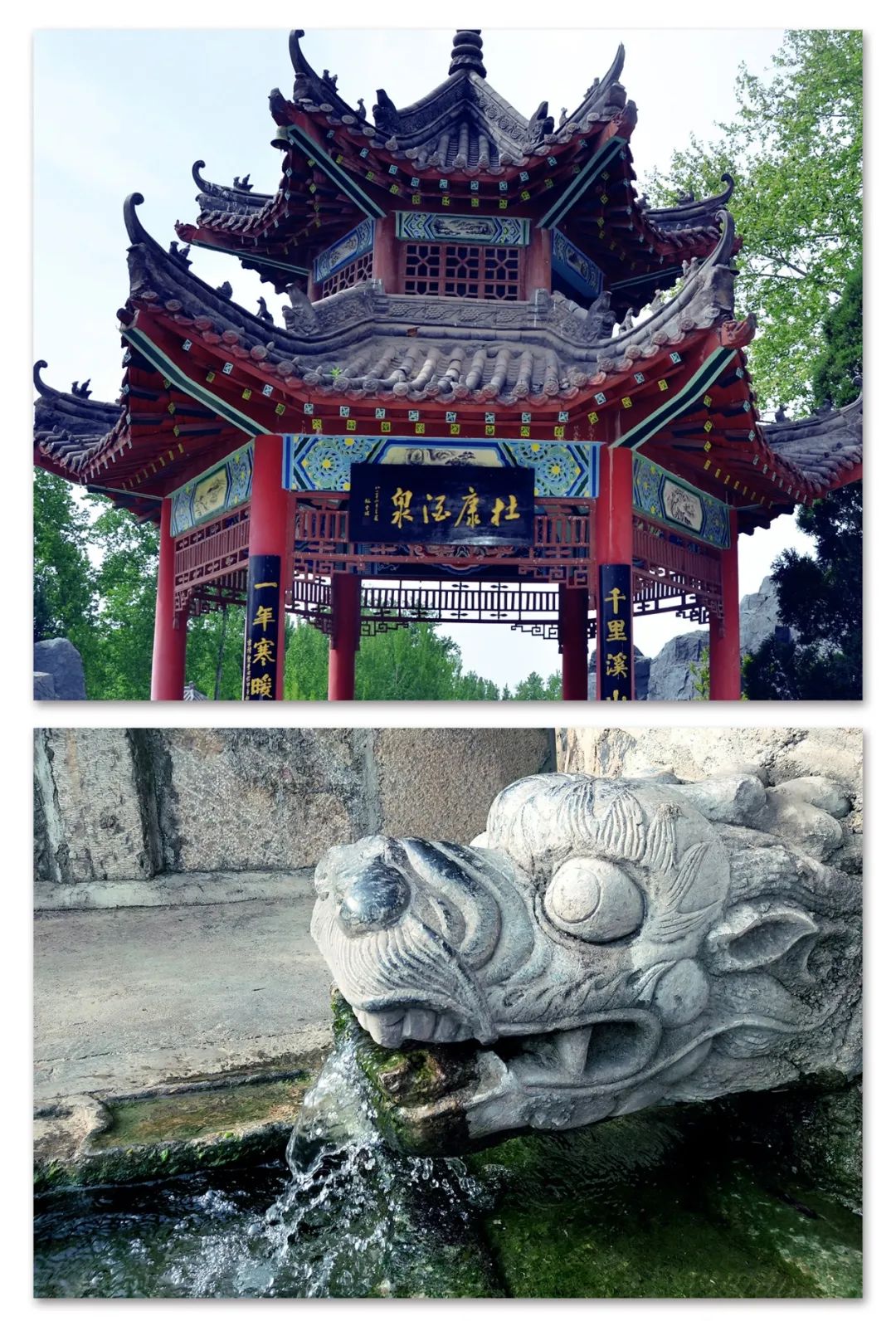 The "five monsters" of the Dukang River, even the leaders of the state ...