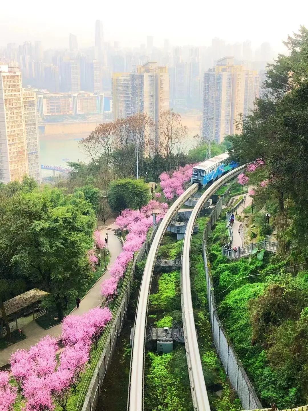 Chongqing not only has the "train to spring", but also the beautiful ...