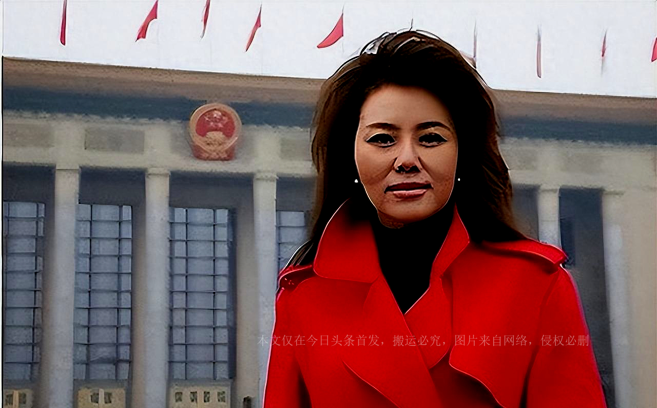 Controversy over "Spy" Fang Jing - iMedia