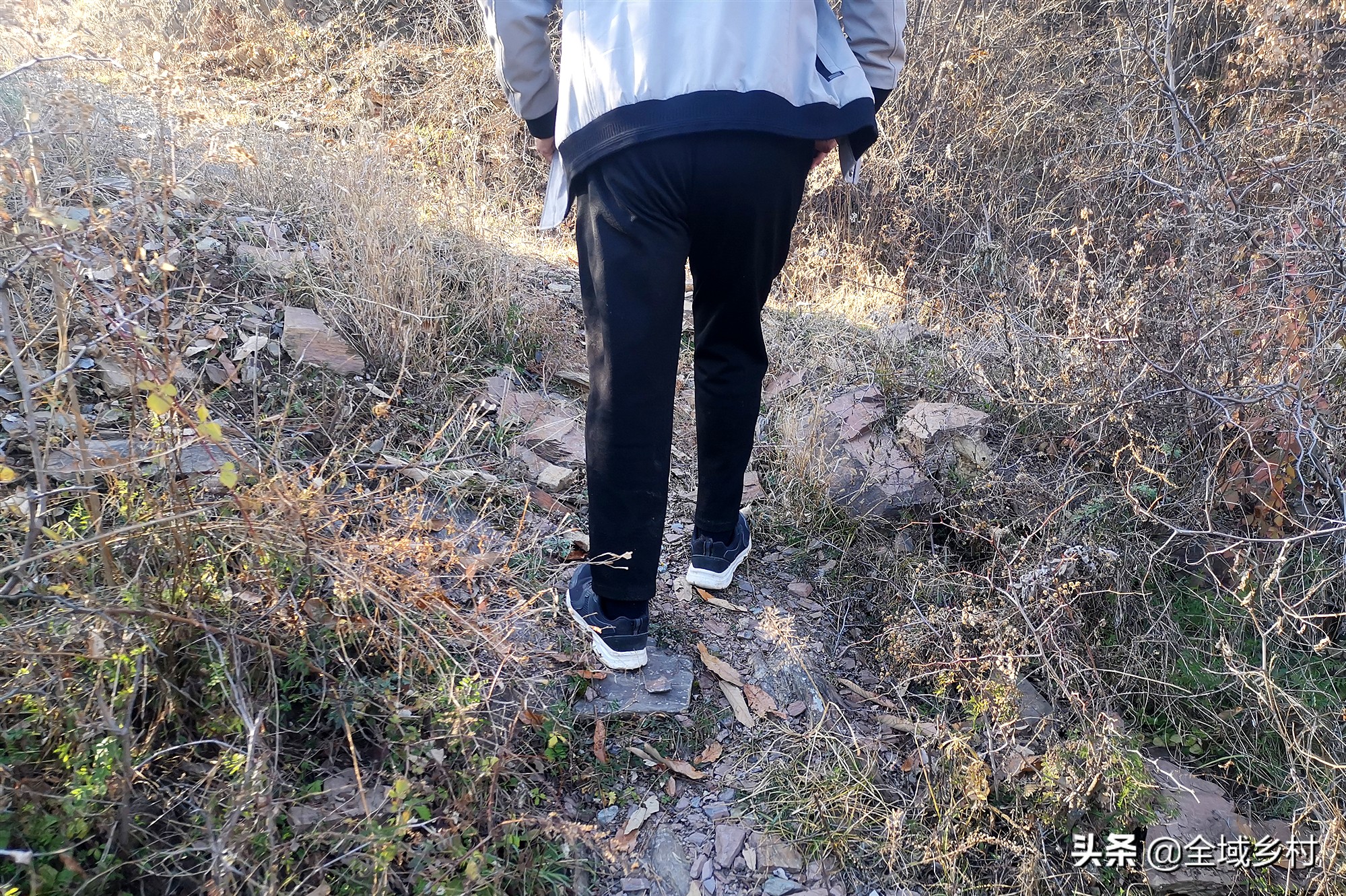 Who is the "Tomb of King Yan" in the deep mountains of western Henan ...