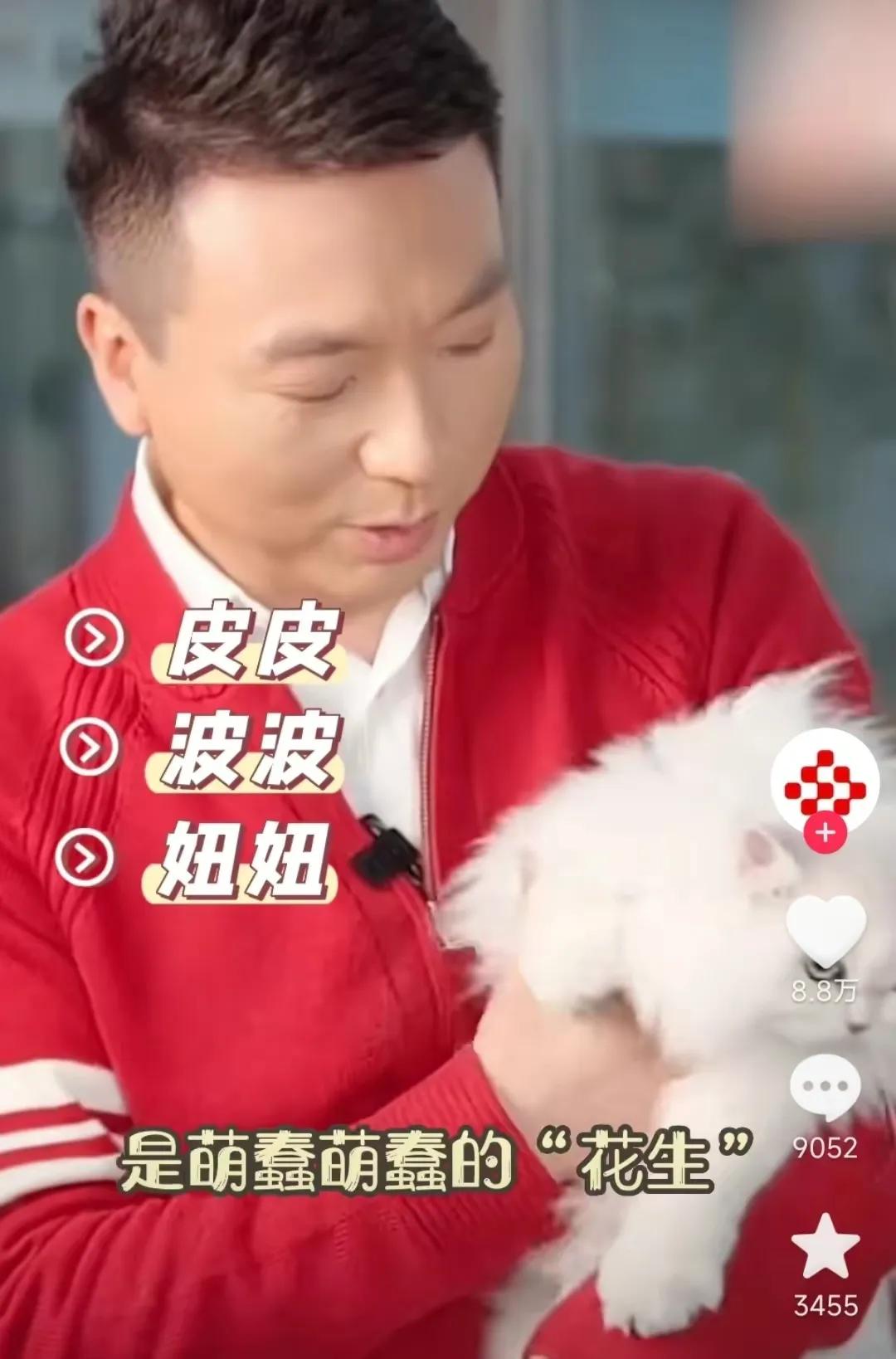 CCTV host Kang Hui suspected of cyber violence! Raising cats without ...