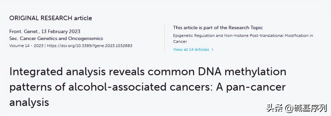 Alcohol-associated cancer mechanisms: aberrant DNA methylation patterns ...
