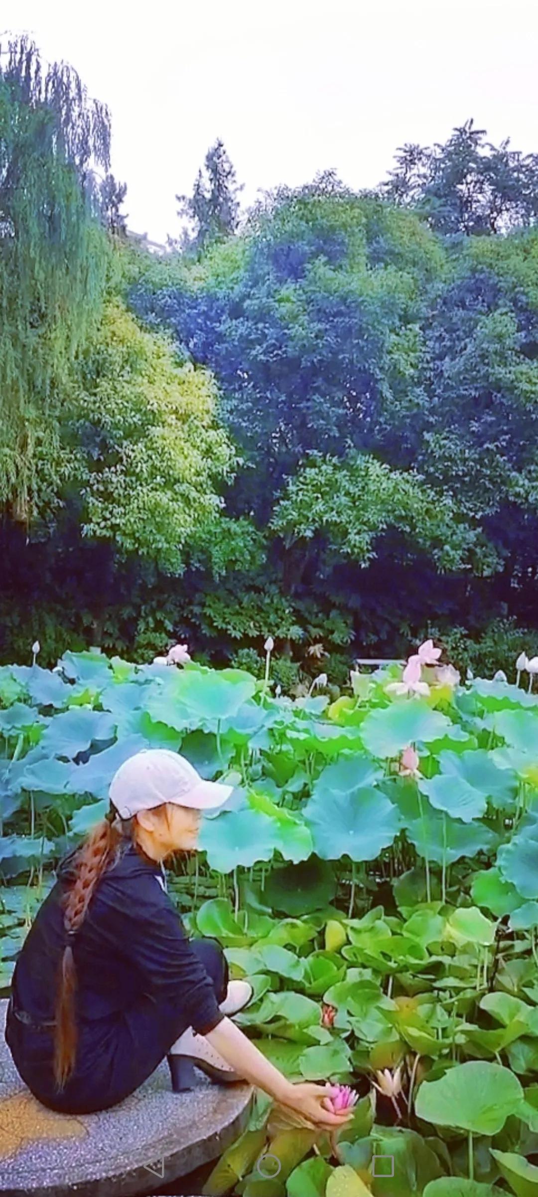 "Lotus Pond Drizzle" (a limerick) - iNEWS