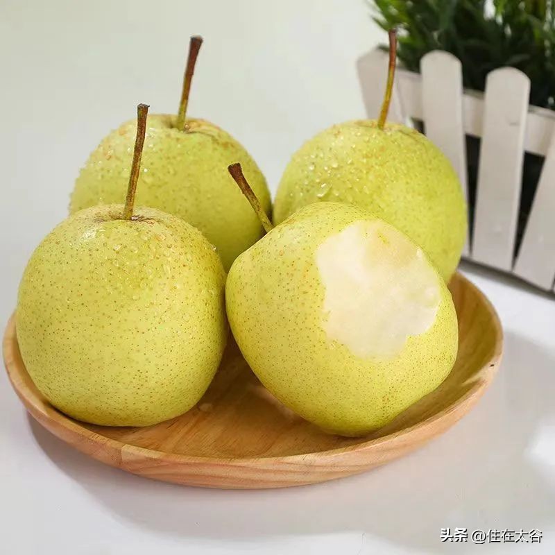 The past and present of Shanxi's famous "Yuluxiang" pear - iNEWS
