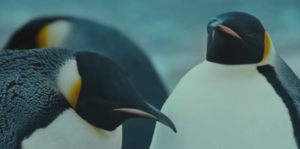 Douban 8.7, a documentary that truly reflects the life of emperor ...