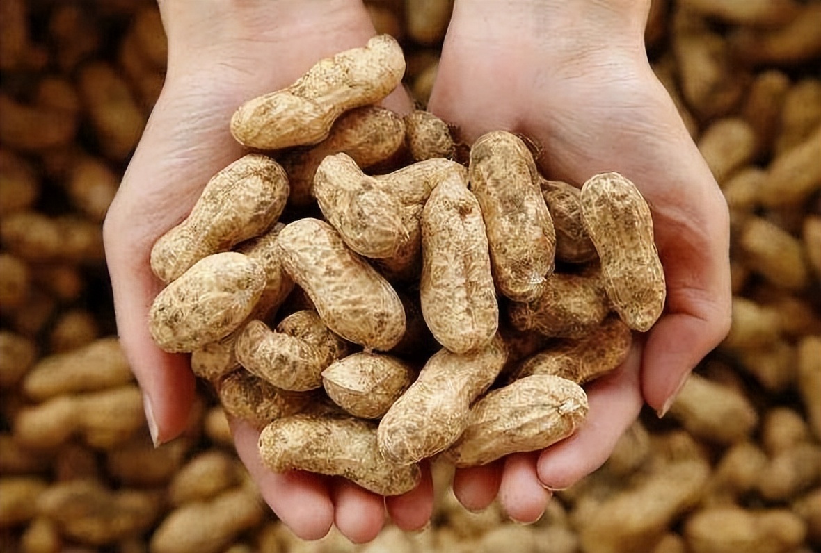 Eat a few peanuts on an empty stomach in the morning and stick to it ...