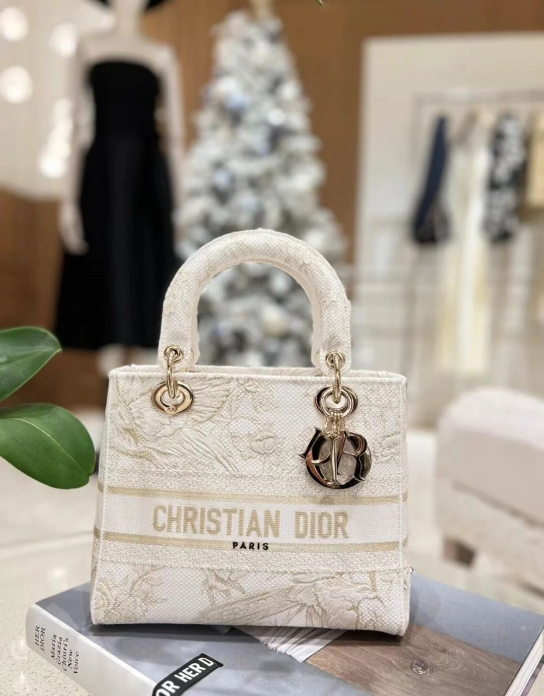 Dior Dior 2023 early spring series - iNEWS