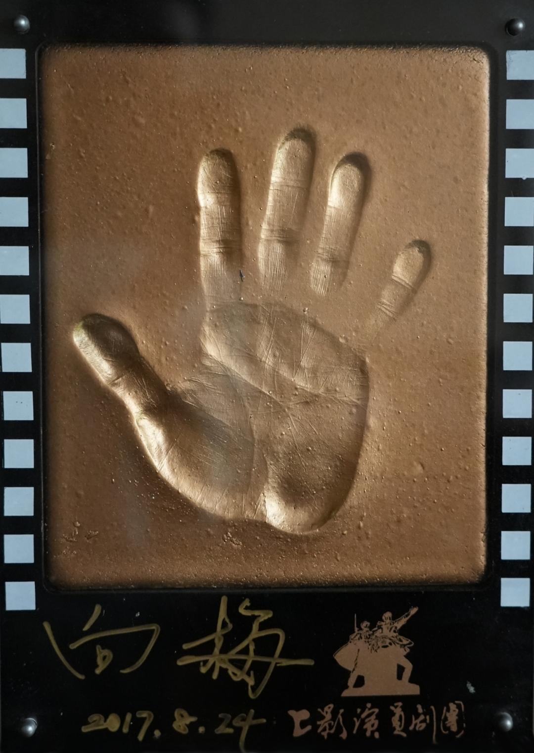 Xiang Mei's latest video reveals her journey from architecture student ...