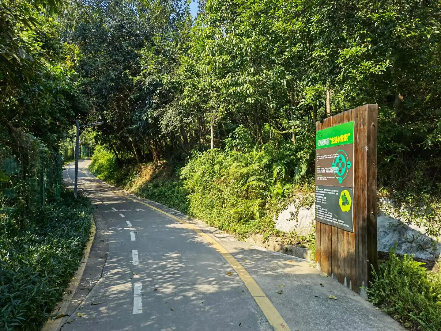 The most beautiful ecological greenway in Shenzhen-Wutong Greenway - iNEWS