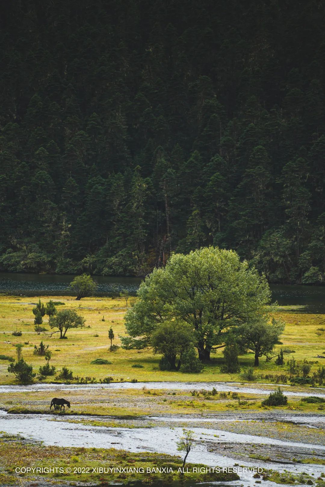 Hiking the bottomless lake, enjoying the beauty of the changing summer ...