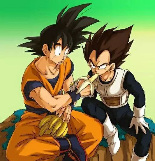 Vegeta's starting point is higher than Goku, why is Goku far behind him ...