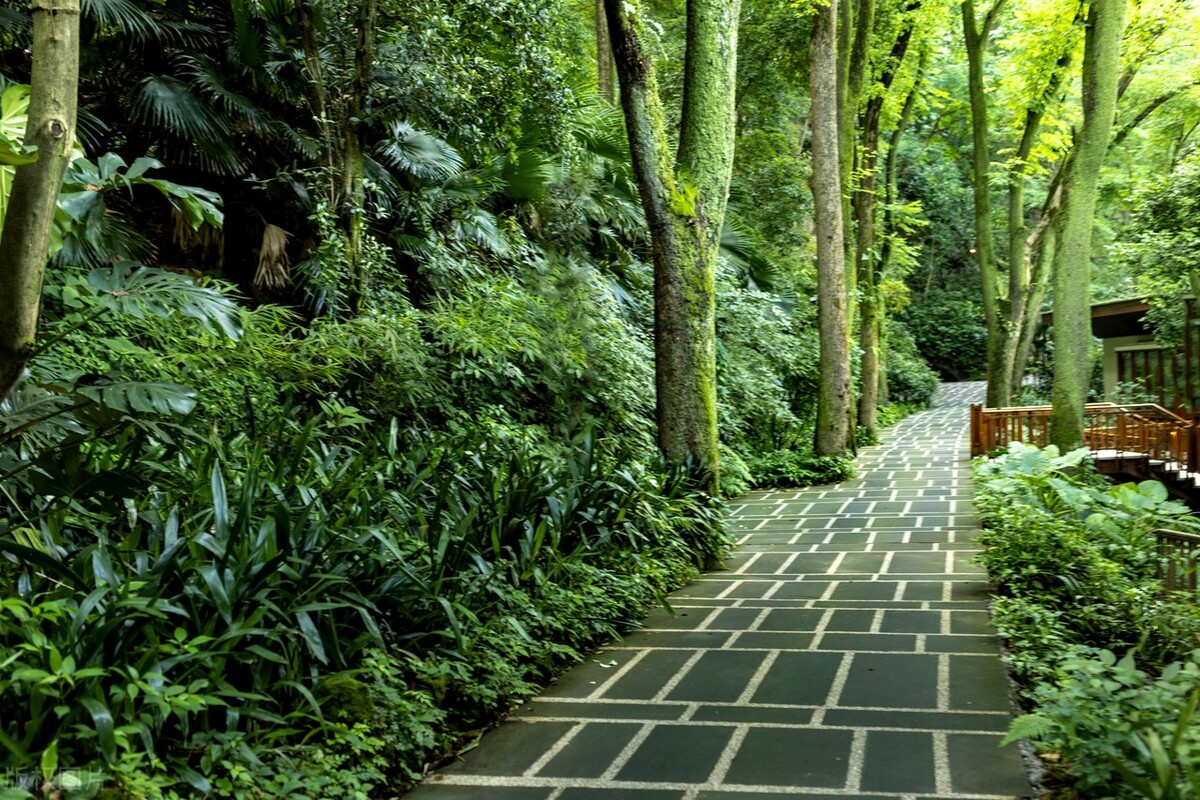 On a romantic spring day, let's go for an outing! 8 beautiful parks in ...