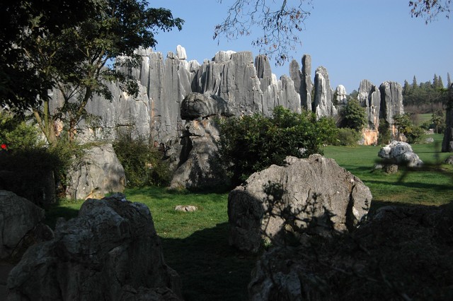 Stone Forest - Hometown of Ashima - iNEWS