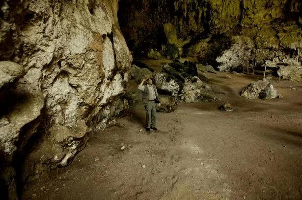 "The Hobbit" may not be extinct, and many people in Indonesia have ...