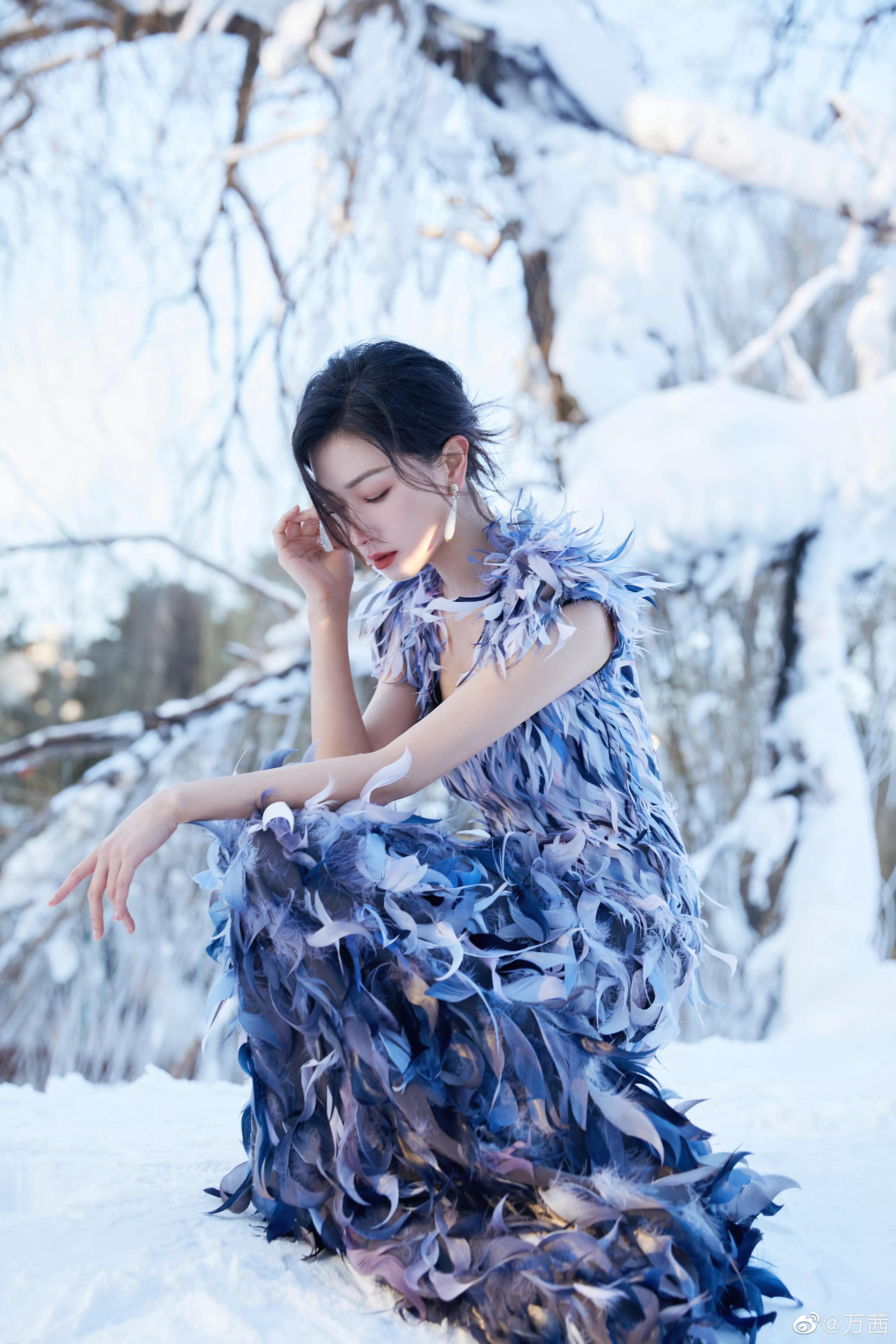 Wan Qian's portrait in Xuezhong wears a blue and white feather fringed ...