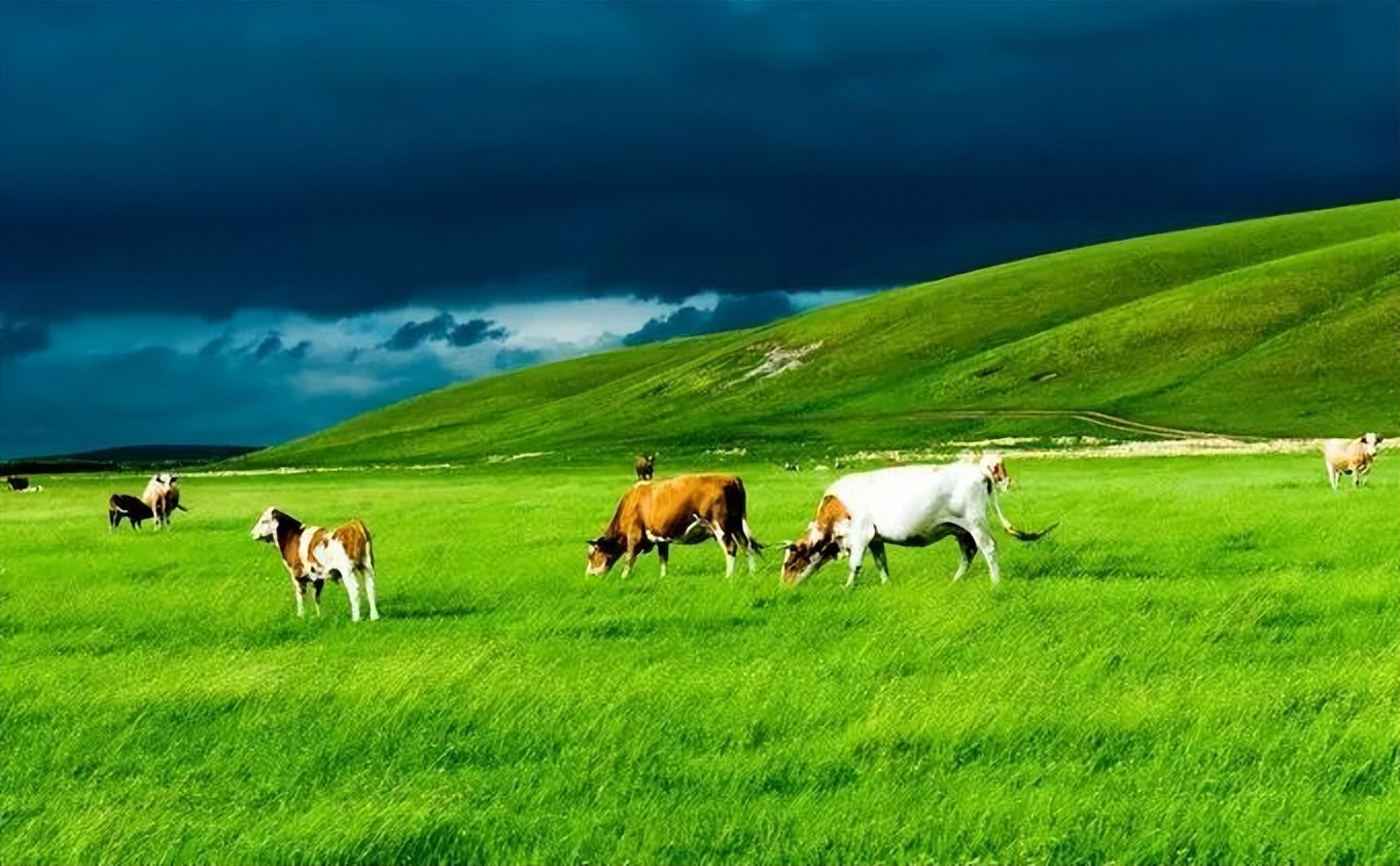 An ancient tomb was discovered in Hulun Buir Grassland, but the owner ...