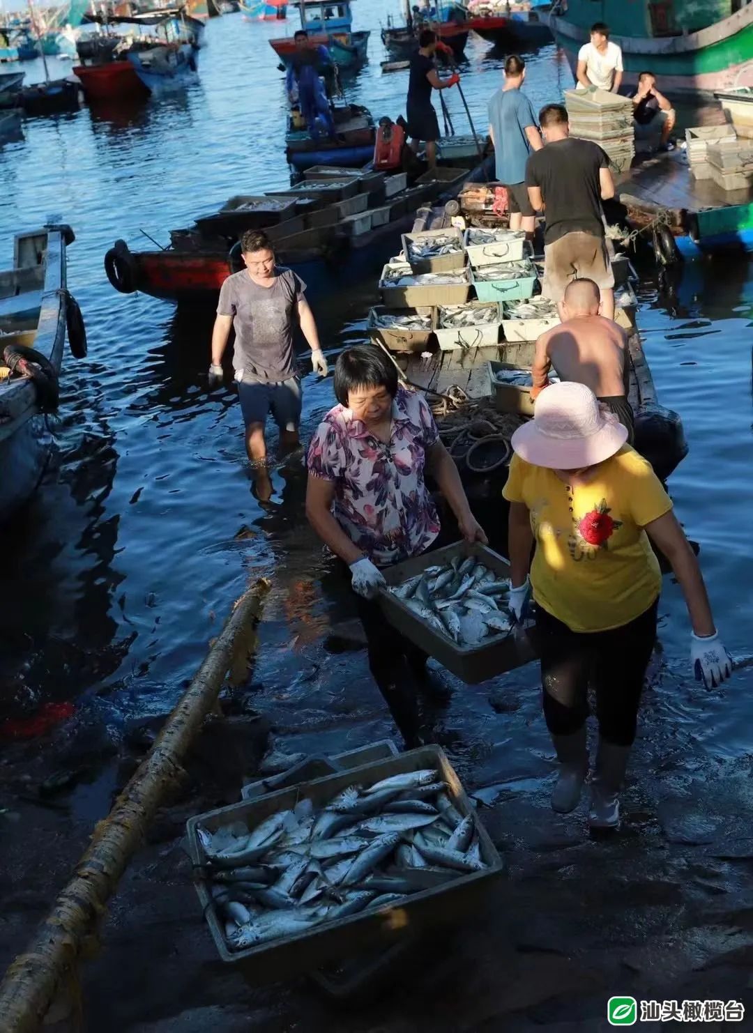The fishing boat is back with your favorite raw seafood!The first batch ...