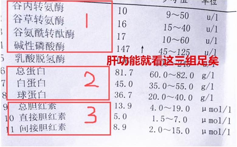 Liver function test sheet, just understand these three groups of ...