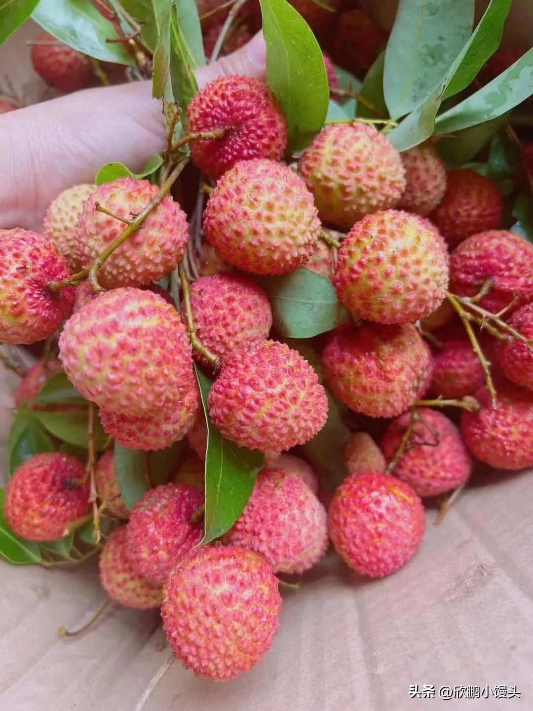 Do you know how many varieties of lychees there are? What kind of ...