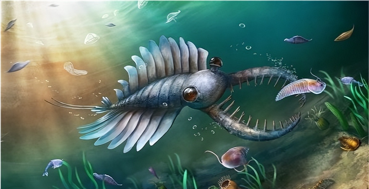 Hand-drawn display of 560+ creatures - iNEWS