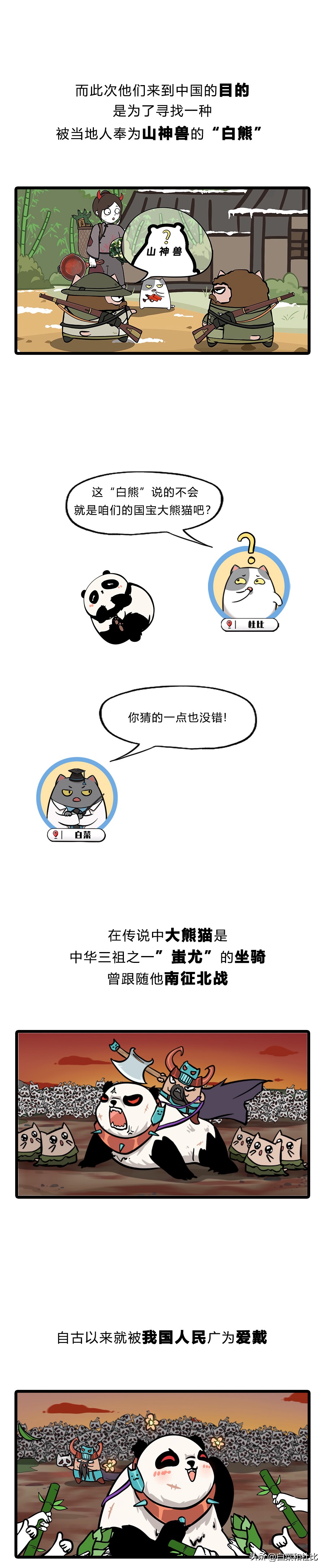 How miserable was the giant panda in the past? (Cabbage Dolby's ...