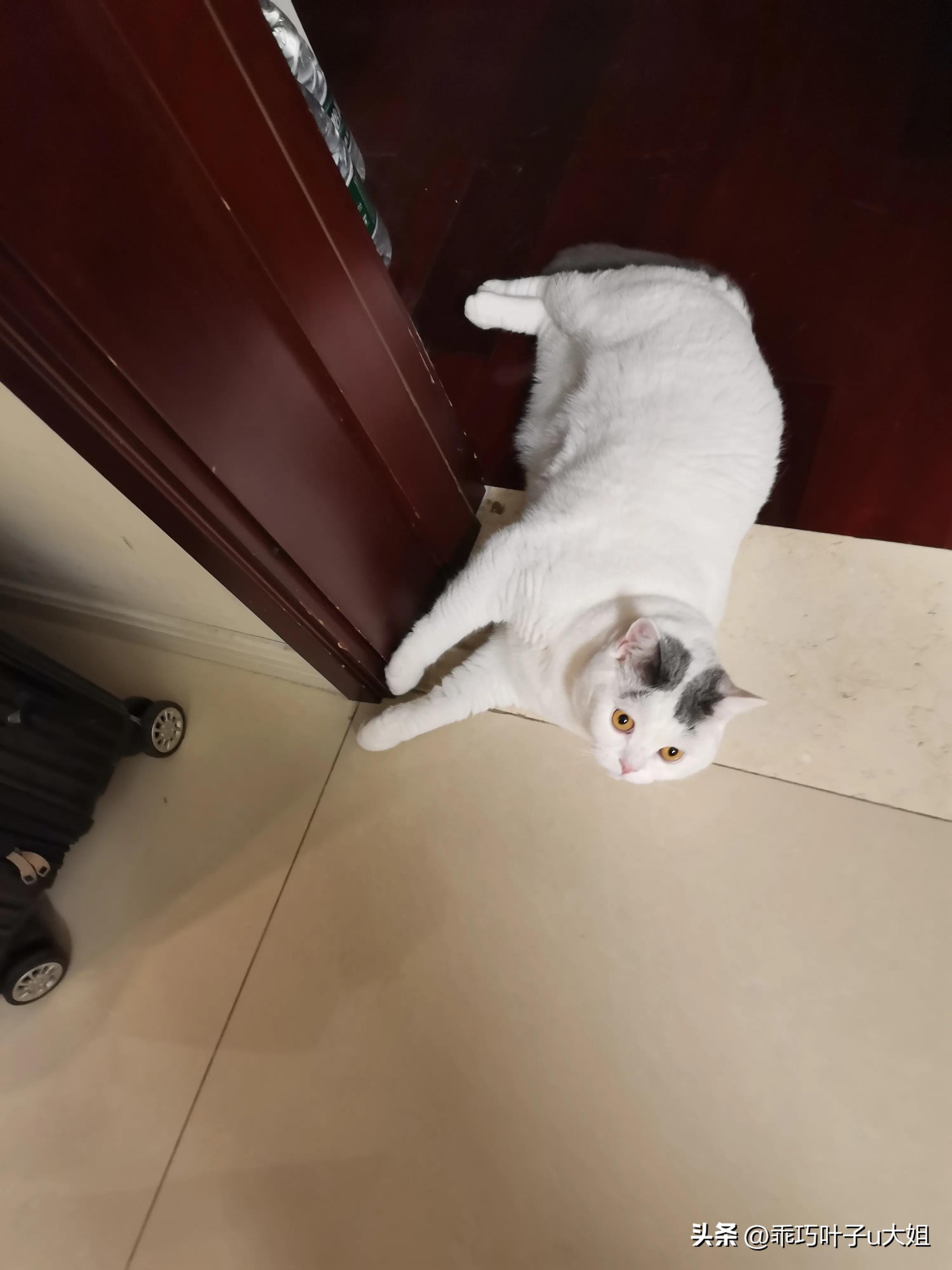 Poor parents in the world! - iNEWS