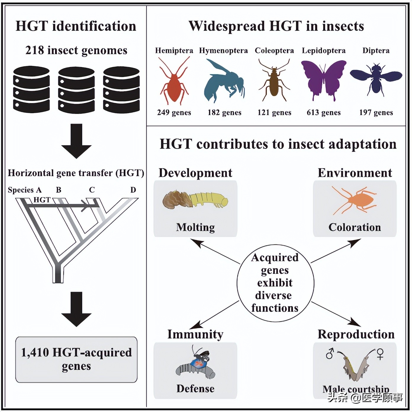 Genes from bacteria could influence insect courtship - iNEWS
