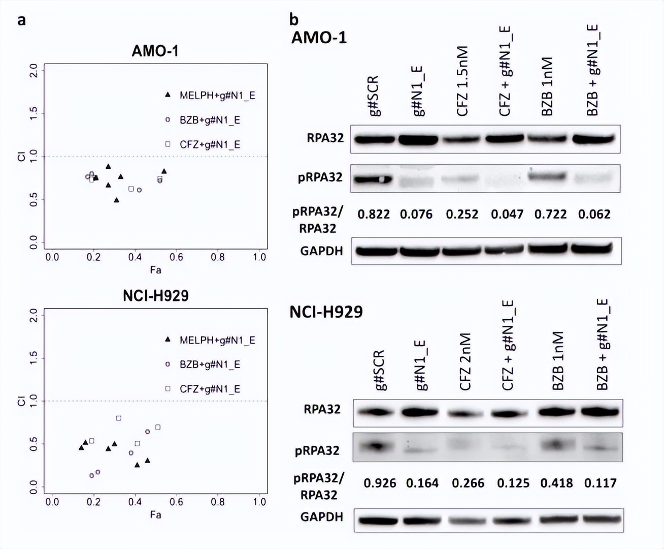 Capsular polysaccharide production of Vibrio parahaemolyticus and its ...