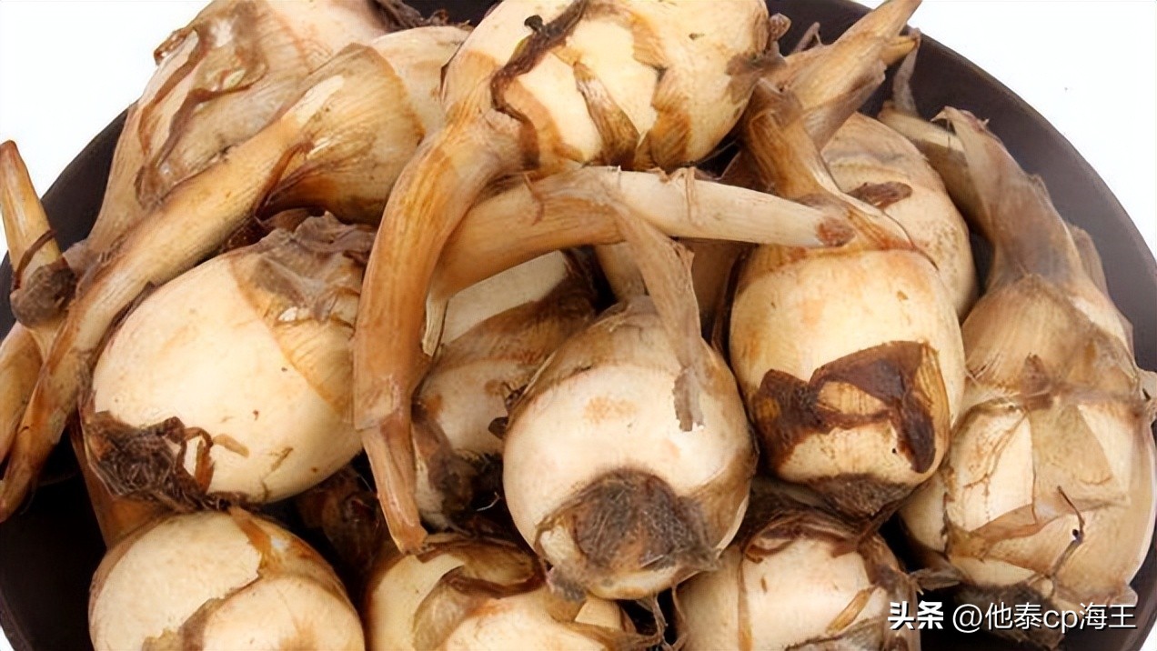Various Foods of Arrowhead Mushrooms - iNEWS