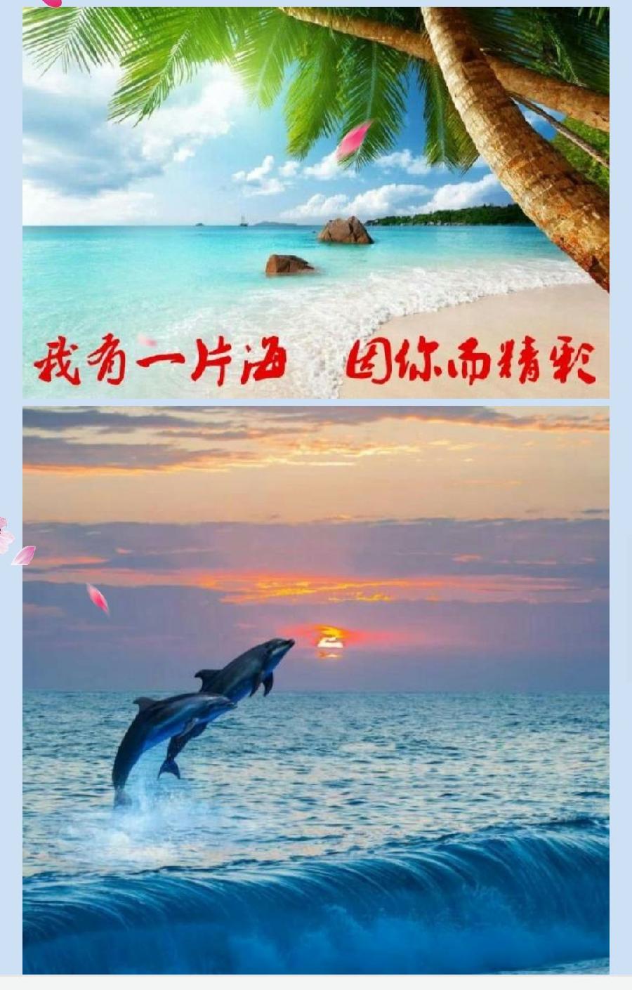 Zou Enliang's "Haitian Poems and Paintings" Famous Micro-published ...