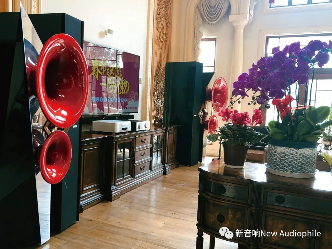 German Acapella The Triolon Excalibur MK 5 speakers - iNEWS