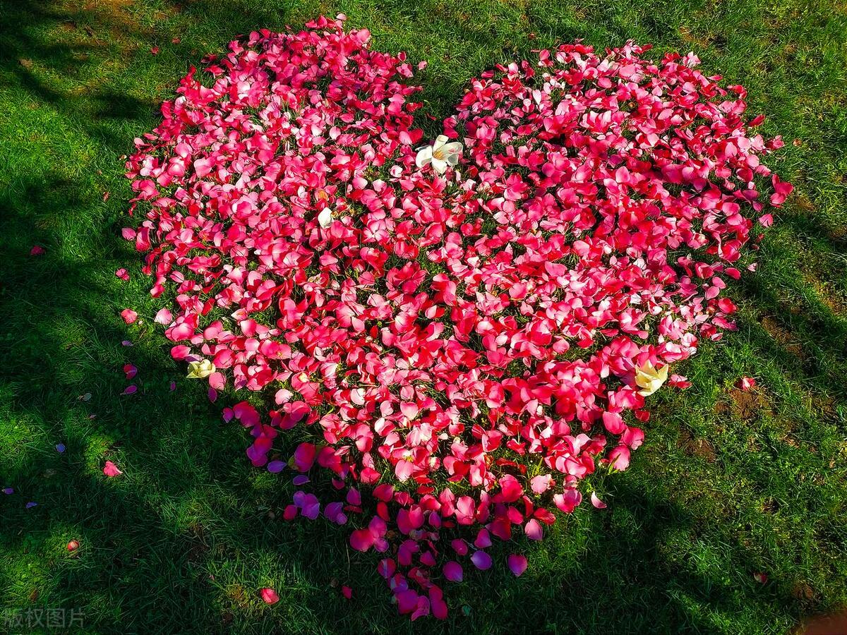 How to add beautiful photo frames to photos with mobile phones? - iNEWS