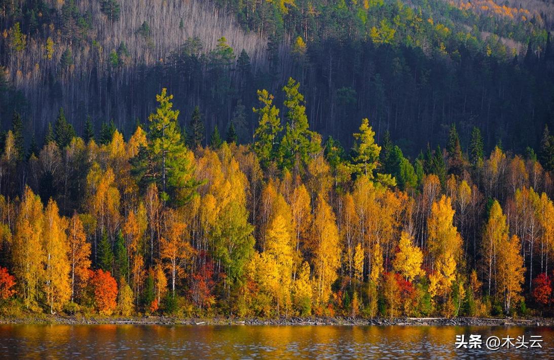 Russian timber smuggling drops by a third - iNEWS