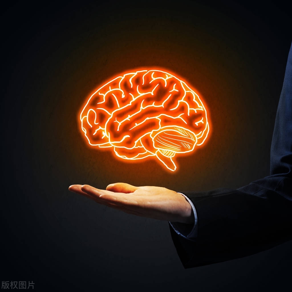 Uncover the secrets of the brain: Do you know these incredible brain ...