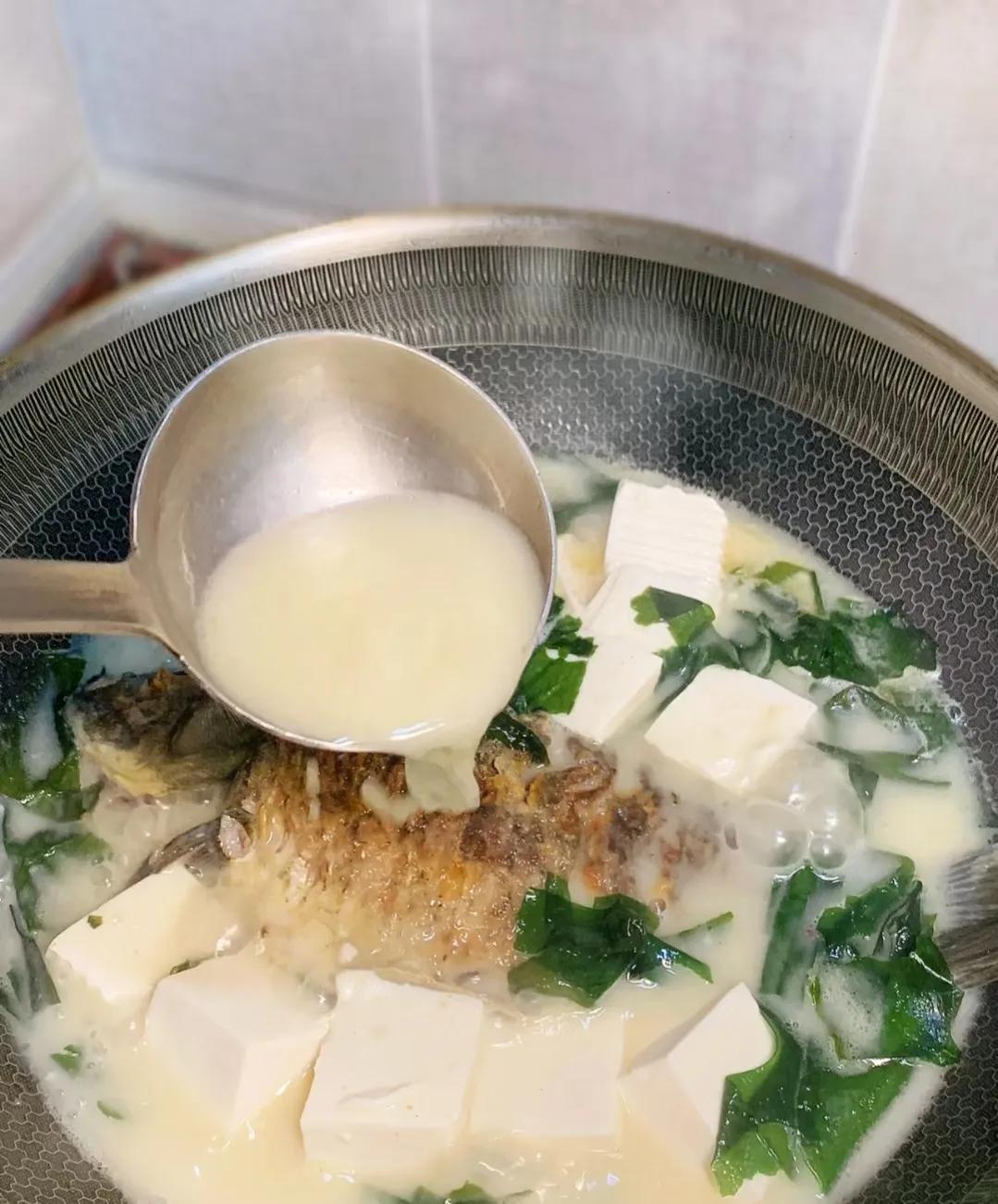 Food sharing crucian carp tofu soup - iMedia