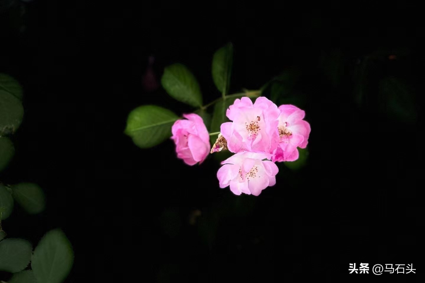 There are two important points in reading - iMedia