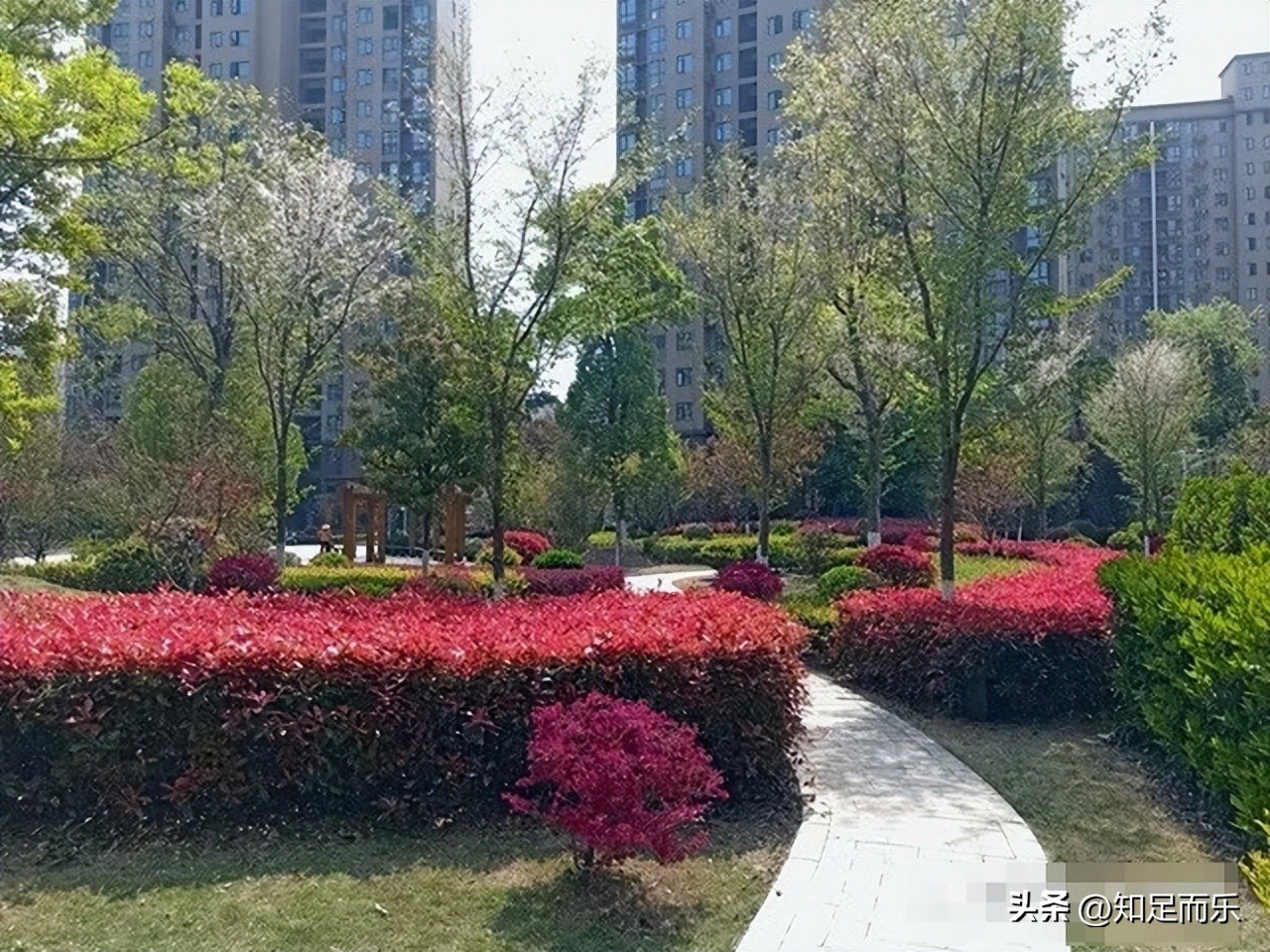 The most beautiful scenery in Suizhou City is hidden here - iMedia