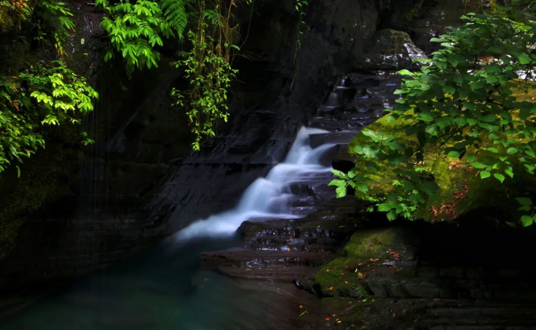 Charming Life (88) One of Zhang Rong's Photography Works Appreciation ...