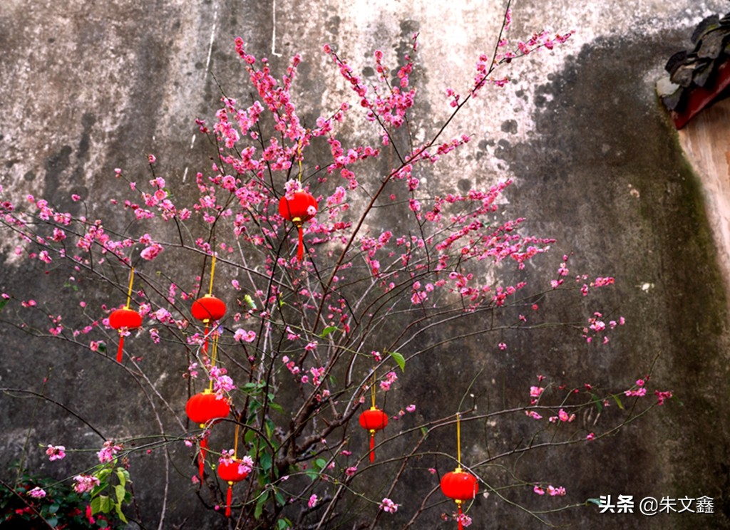 One of the series of pictures about Gaochun: Looking for a dream to ...