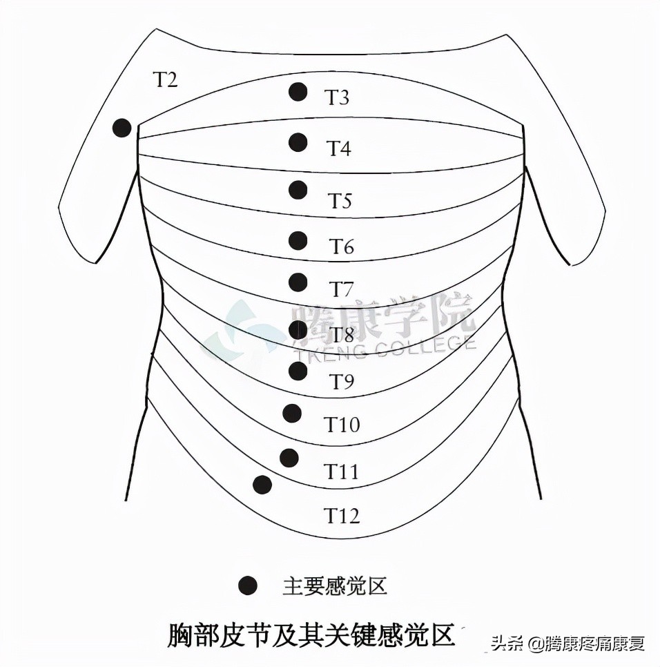 "Cervical spine and upper extremity neurological examination" - iNEWS