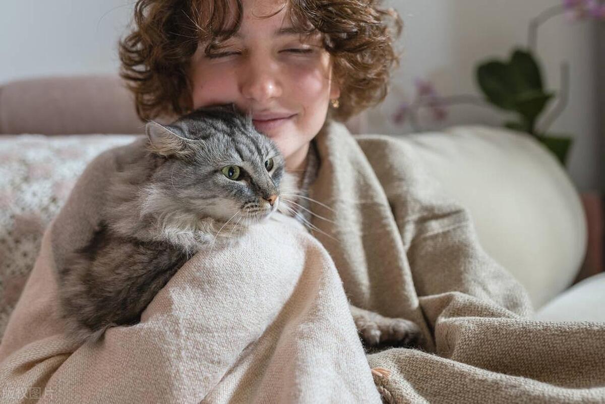 Cat Secrets Revealed: 10 Ultimate Tips to Make Your Cat Love You - iNEWS