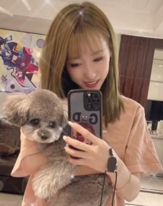 Hong Xin's official divorce news was deleted many times, and her sister ...