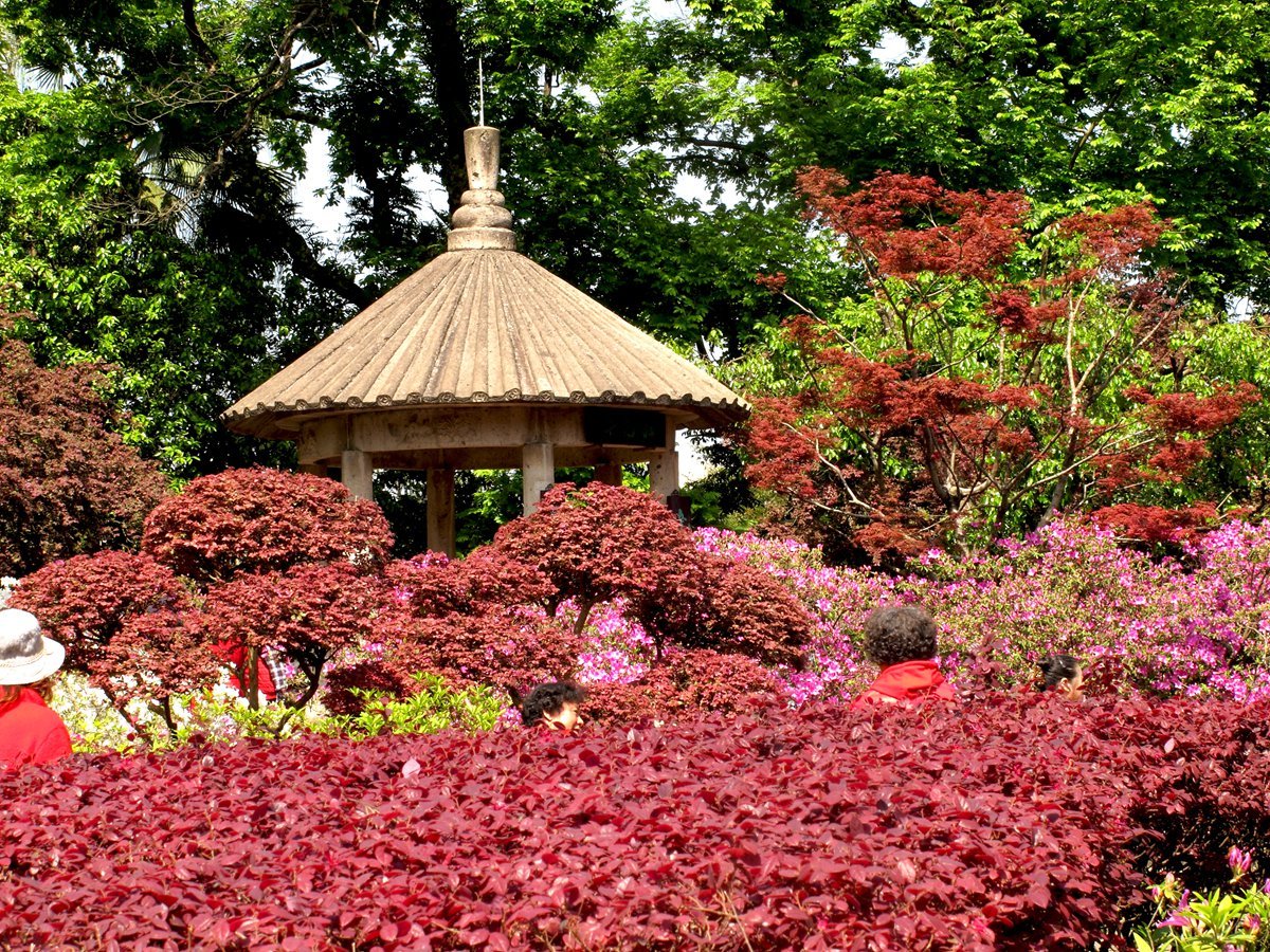 Guilin: Spring to Seven Star Scenic Area! - iNEWS