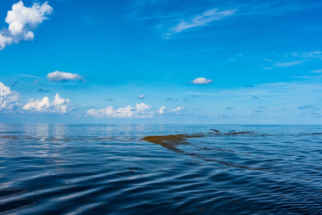 World Geography (3)-Ten largest bays in the world - iMedia