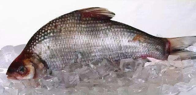 Please stop eating these 6 kinds of fish, which may contain ...