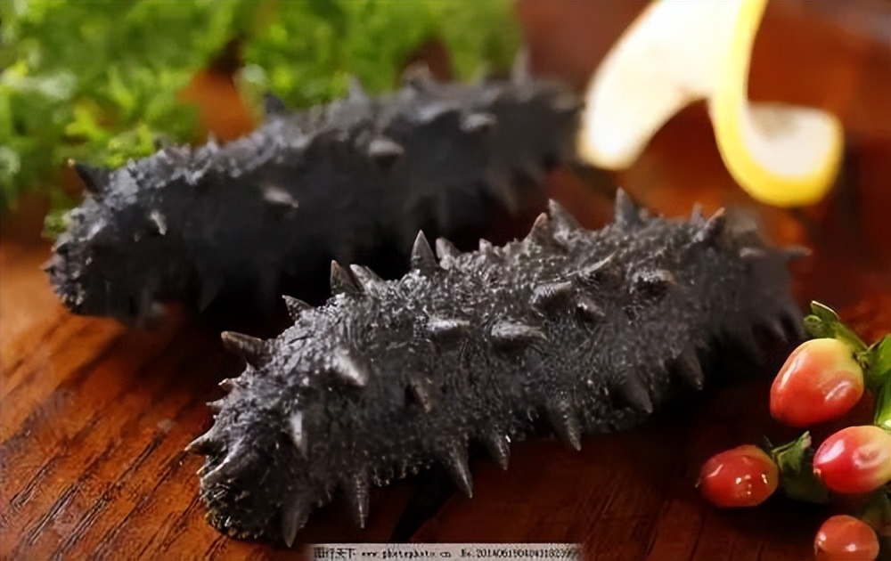 Why eat sea cucumber? give you the answer today - iNEWS