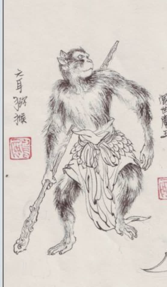 Why does the six-eared macaque also have a rod similar to the Ruyi ...